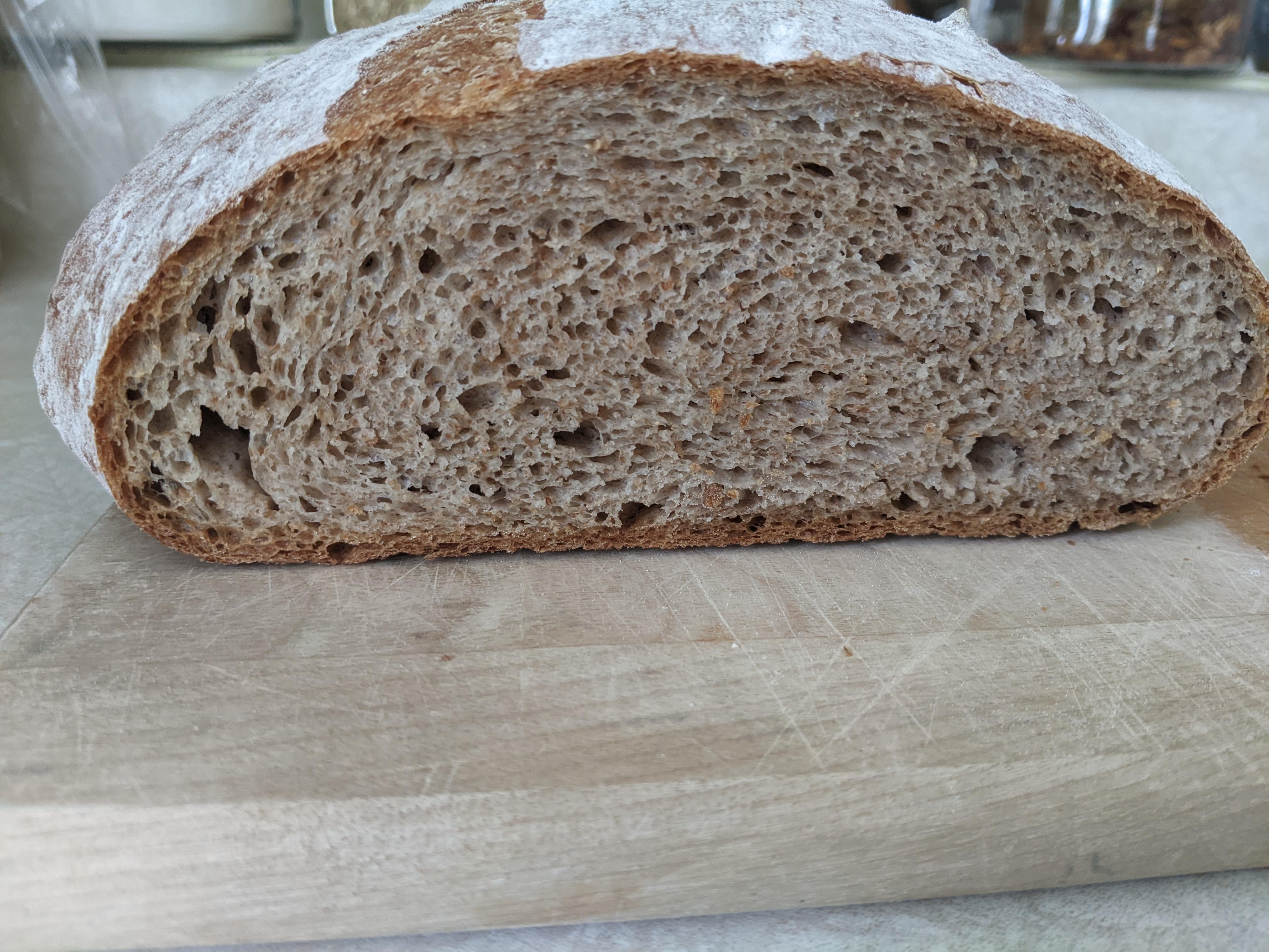Second attempt at 90% whole wheat, 10% whole rye, 100% hydration ...