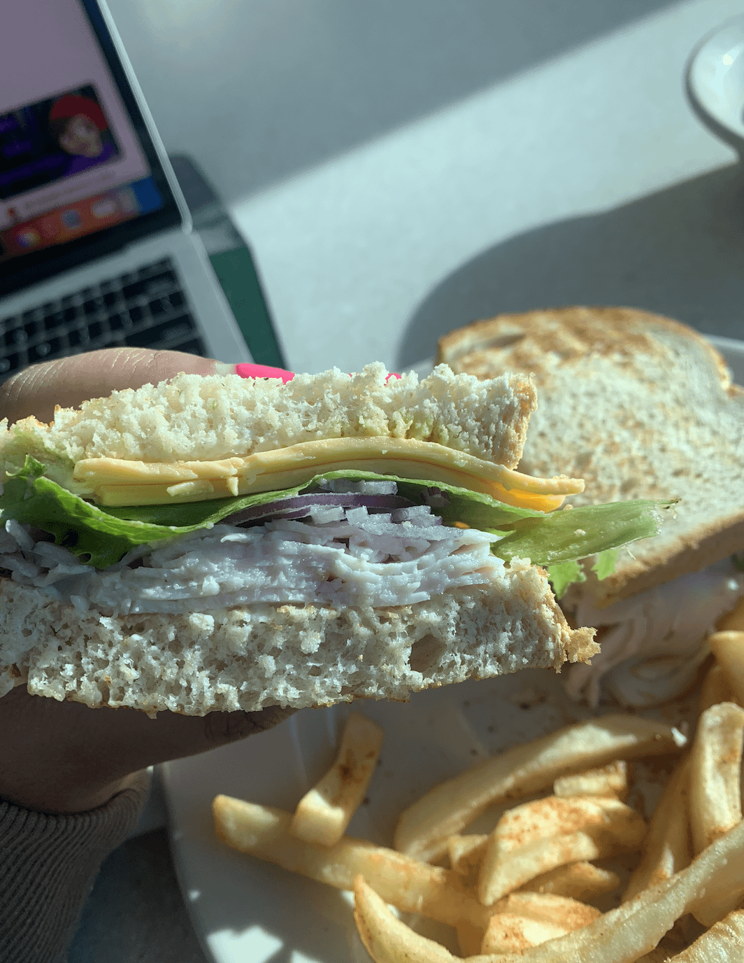 Simple turkey sandwich basking in the sunlight - Dining and Cooking