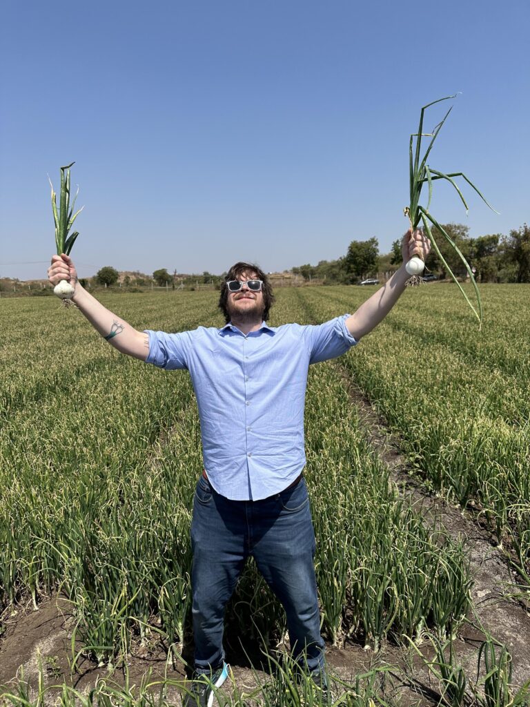 Ascending to the title of onion king on an industrial white onion farm ...