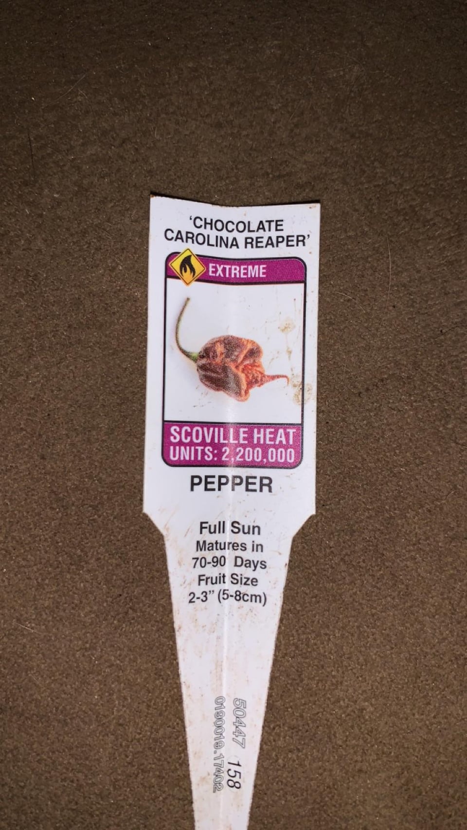 Chocolate Carolina Reaper - Dining and Cooking