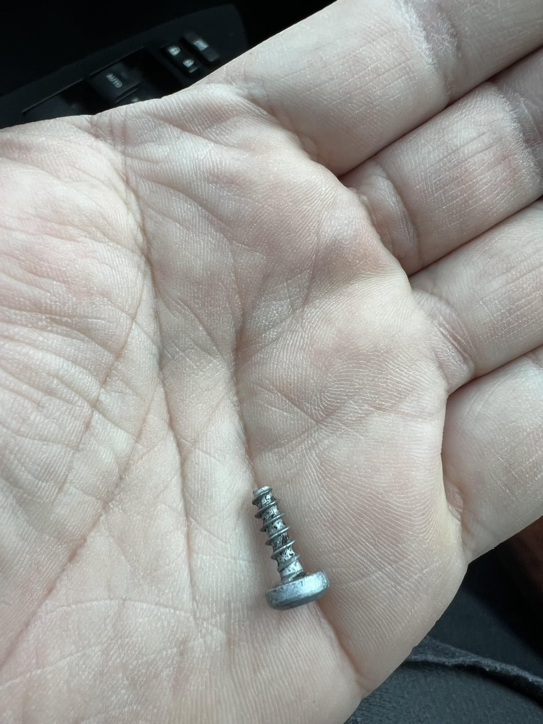 Where can I find these kind of screws? - Dining and Cooking