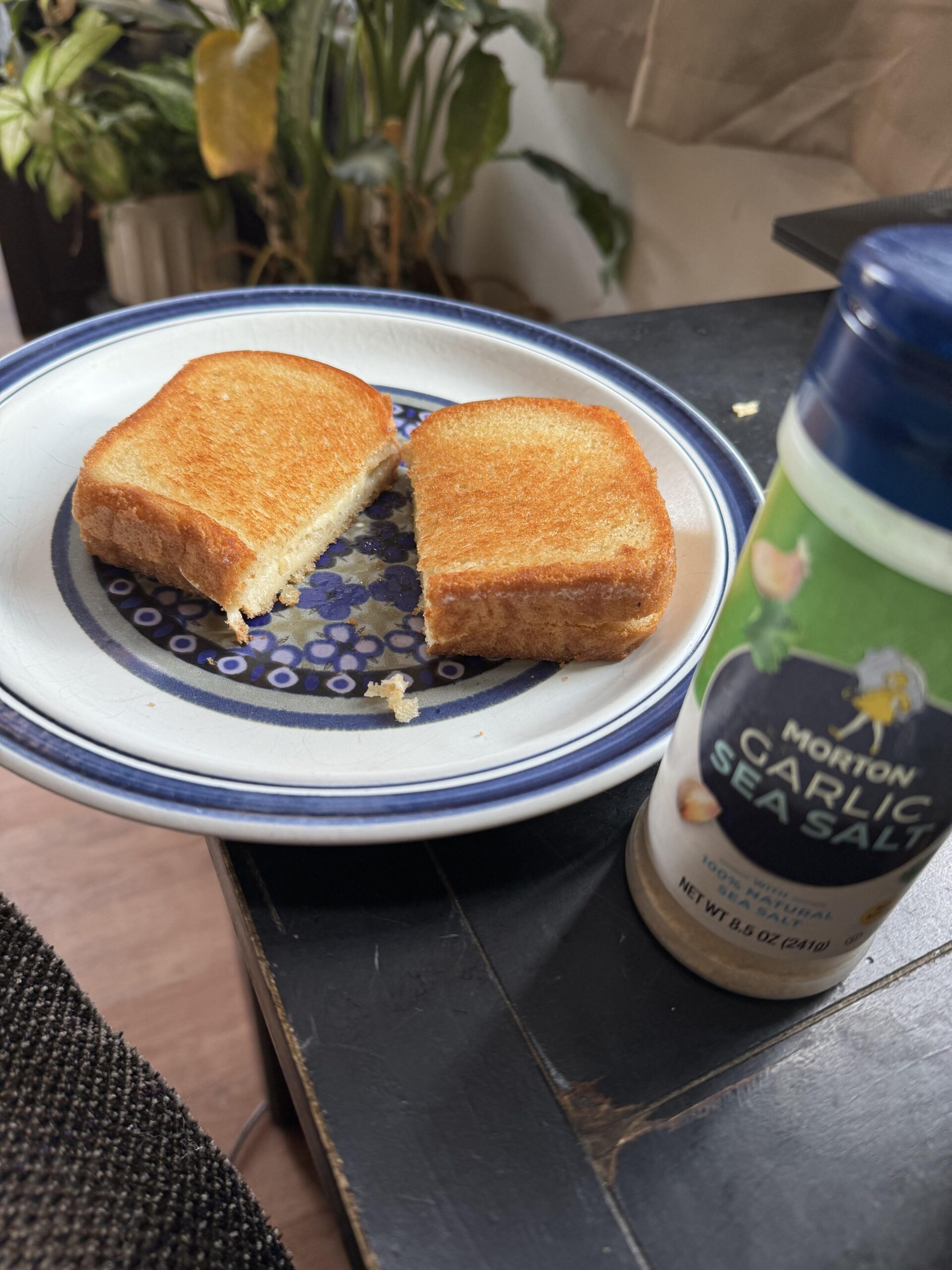 Grilled cheese topped with garlic salt - anyone else? - Dining and Cooking