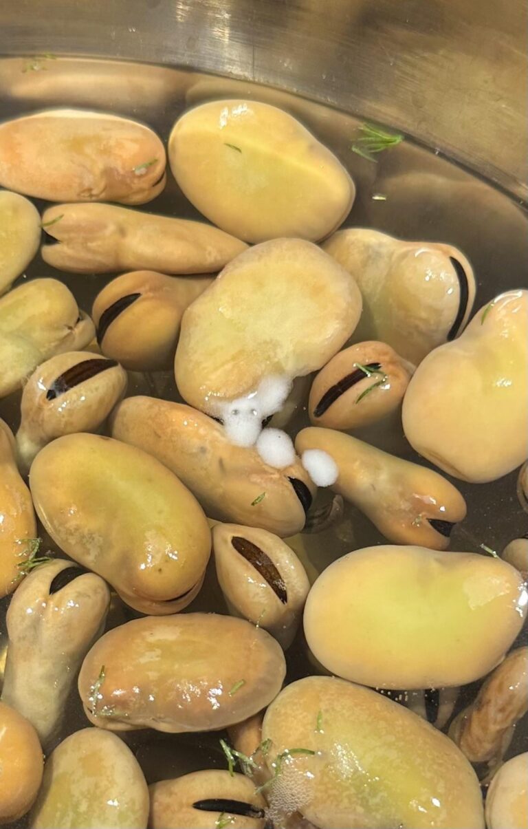 I've soaked these broad beans almost 48 hours. What's the white stuff ...