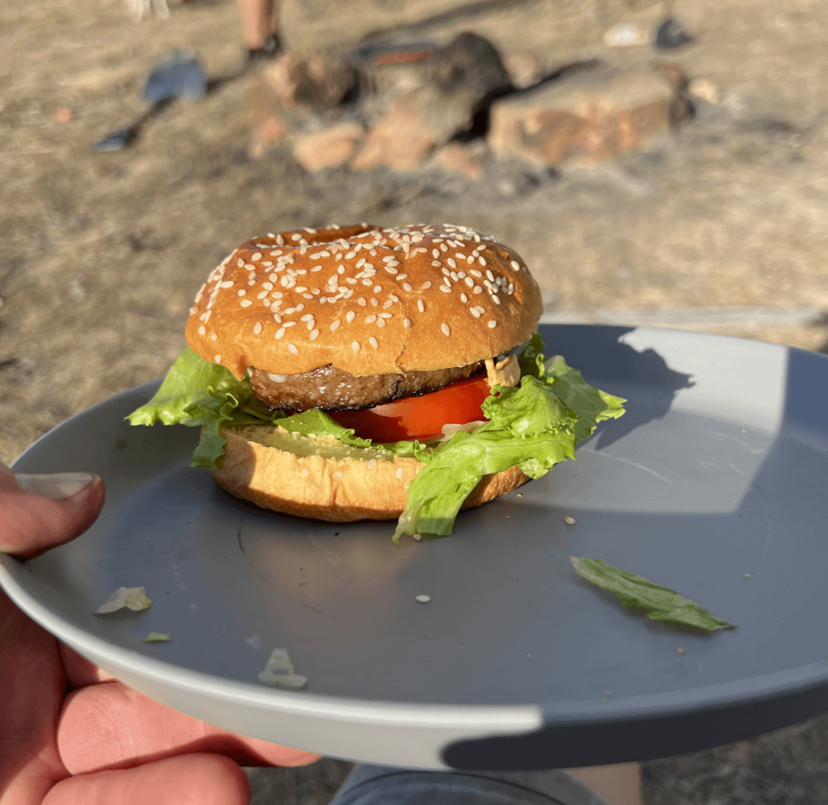 The humble campfire burger - Dining and Cooking