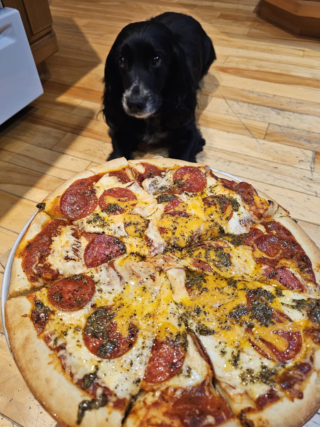 Charity school pizza kit we bought. Spiced it up. Way better than ...