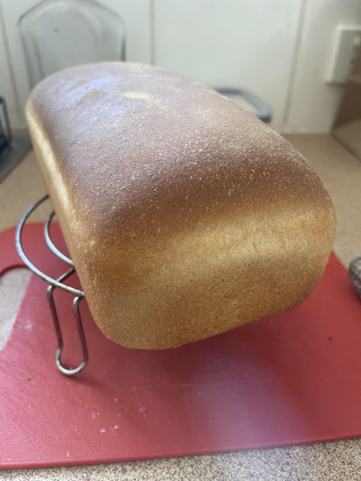 First sandwich loaf a success - Dining and Cooking