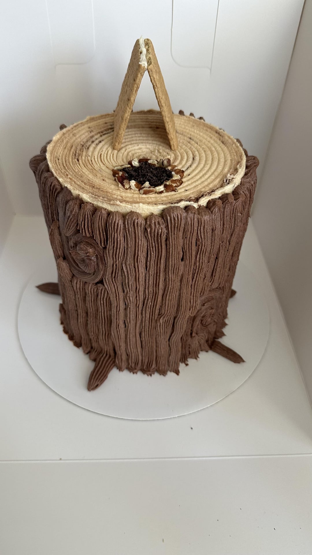 Tree stump/camp themed birthday cake (reverse progress pics, cross ...