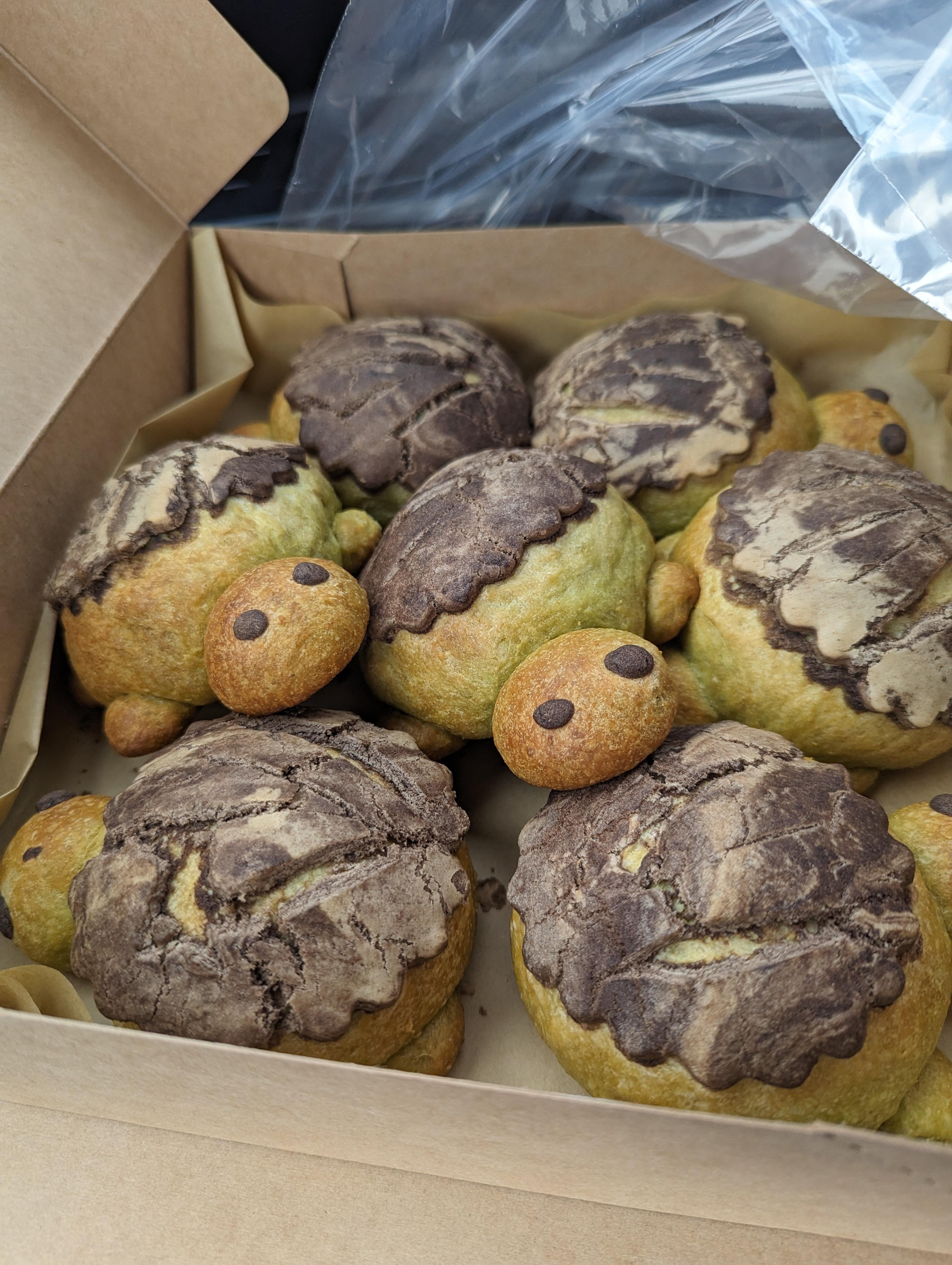 Matcha Conchas - Dining and Cooking