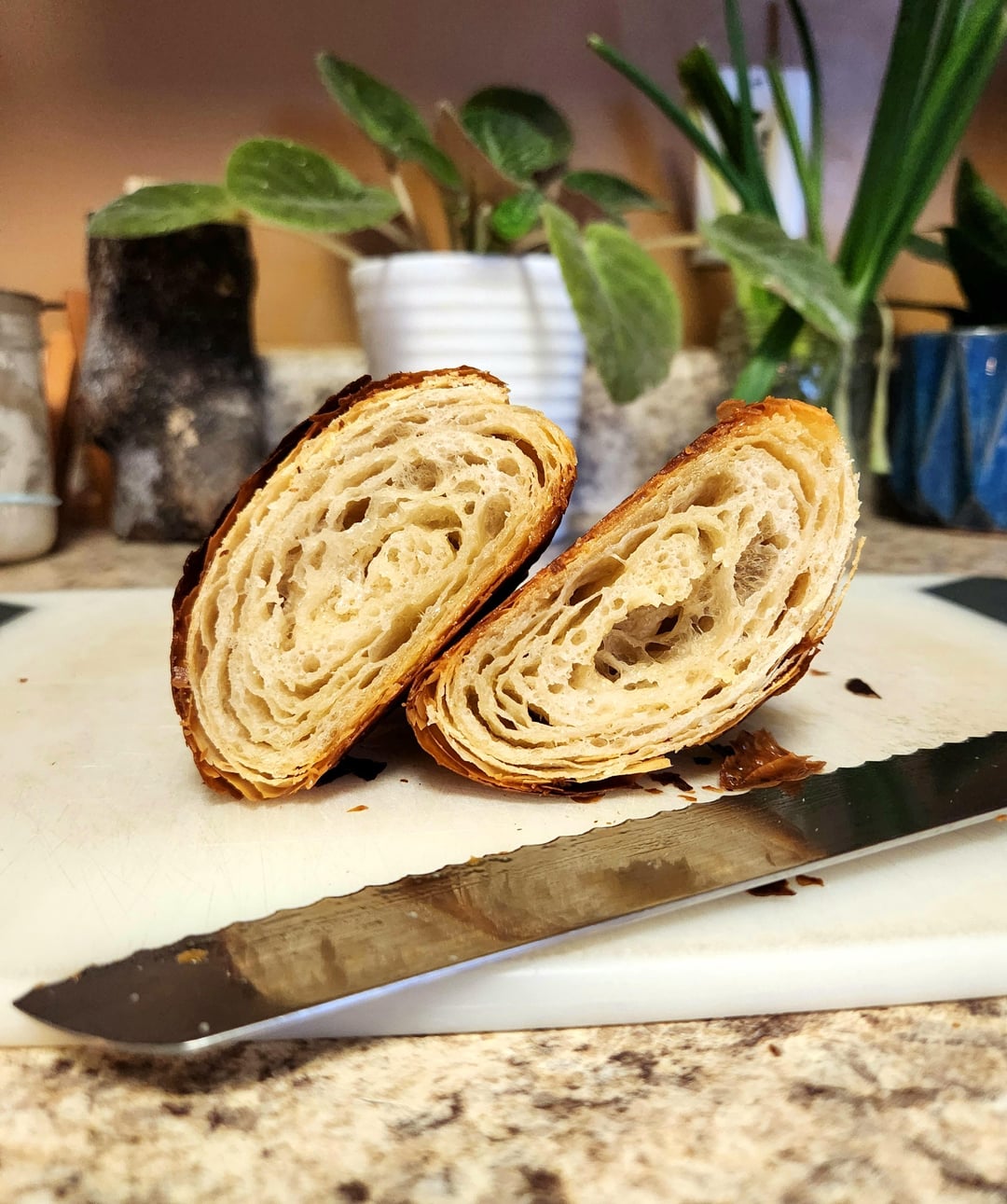 Second try at the ever so daunting sourdough croissant - Dining and Cooking