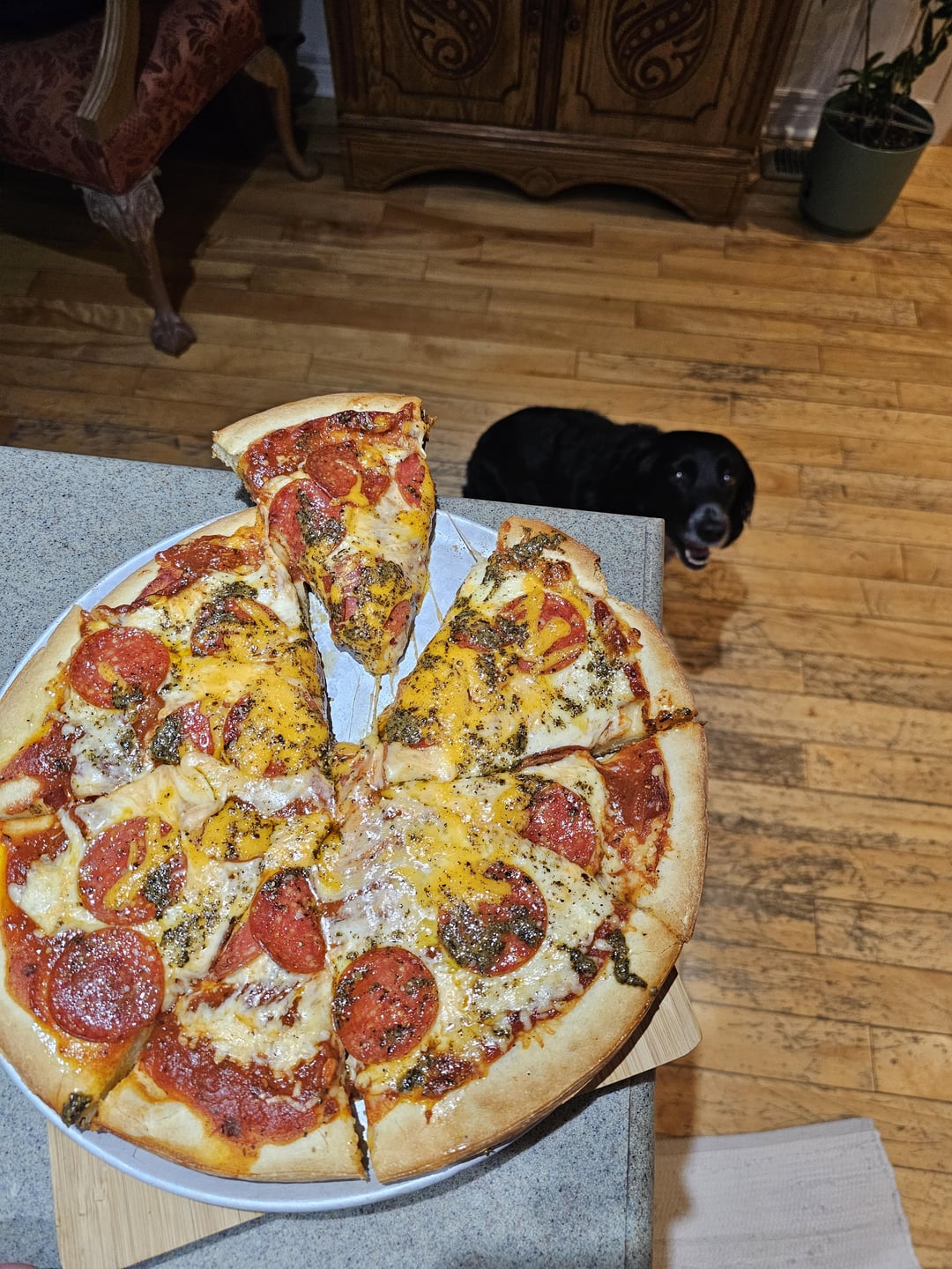 Charity school pizza kit we bought. Spiced it up. Way better than ...