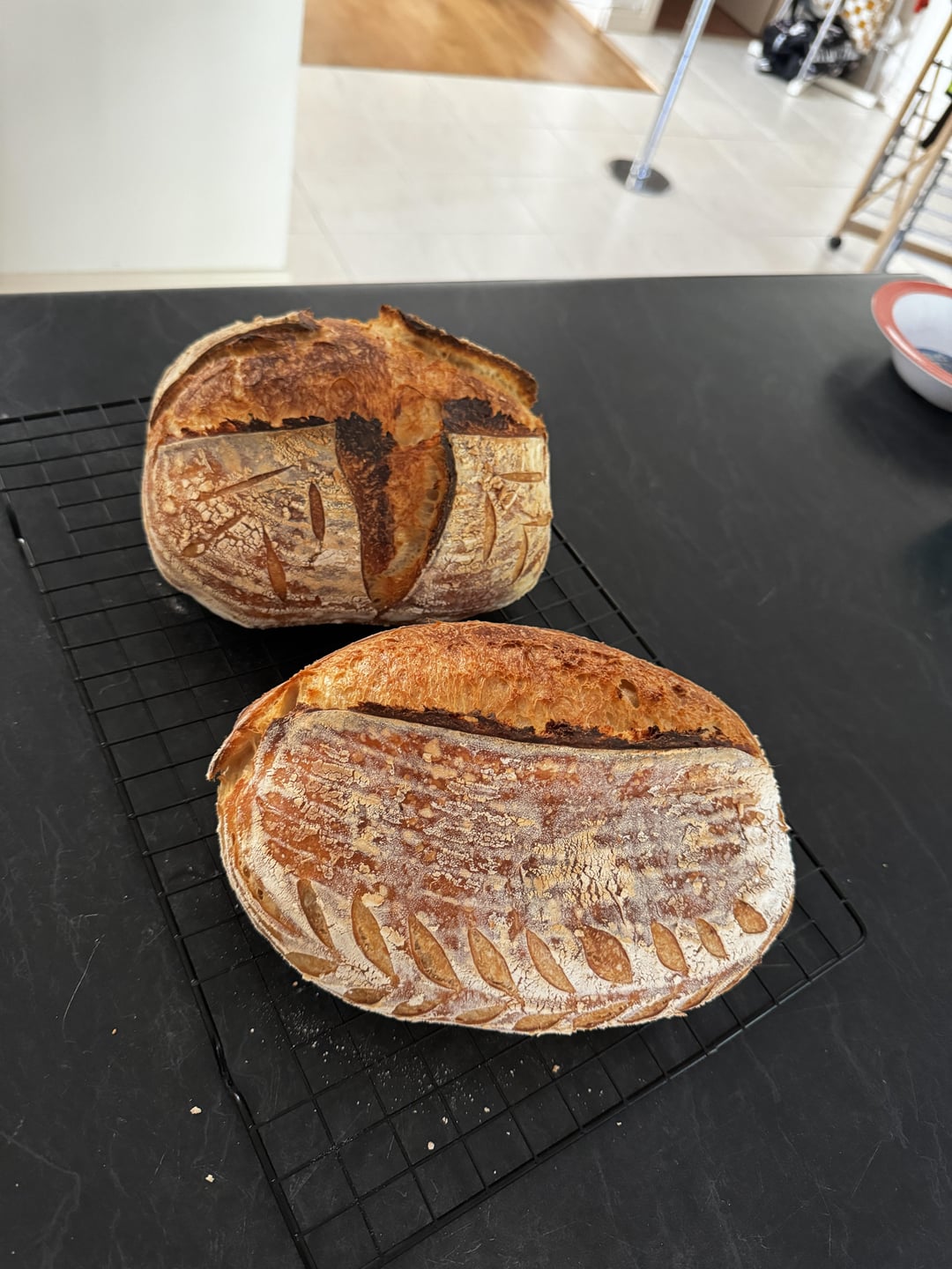 Cold starter - Dining and Cooking