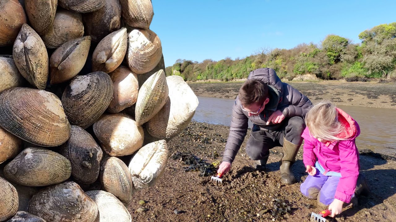 Coastal Foraging with my Daughter | Tasty Clam Chowder Recipe - Dining ...