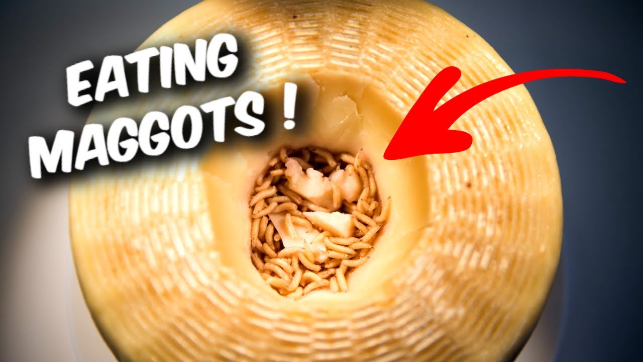 Italy: Trying Cheese With Maggots // Fregola Pasta // Tomato Sauce ...