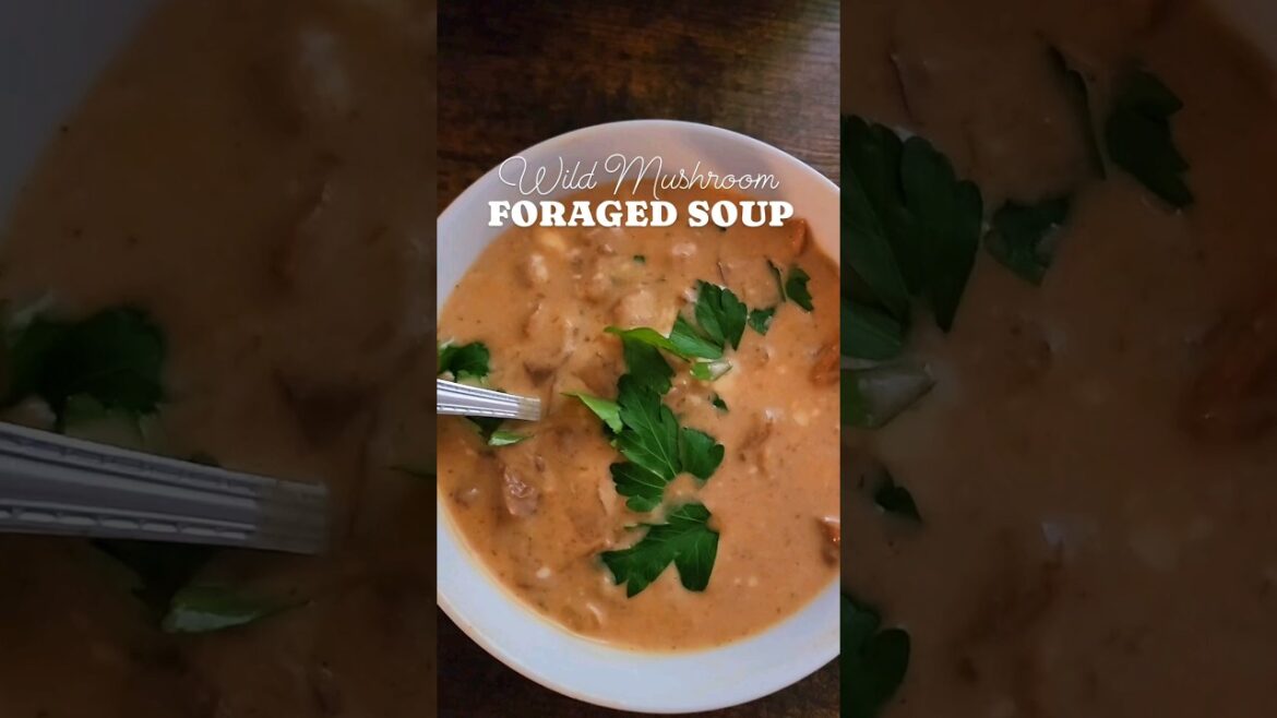 Wild Mushroom Soup with Hedgehogs & Chanterelles - Dining and Cooking