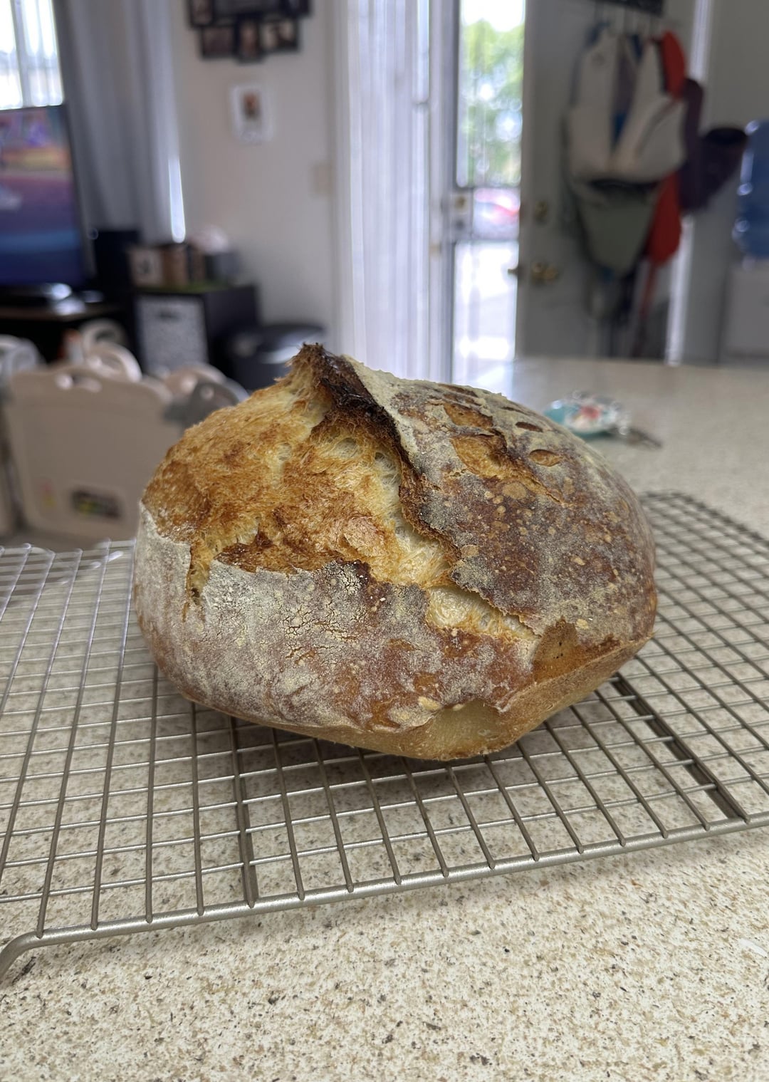 Judge my dough? Looking to learn and improve - Dining and Cooking