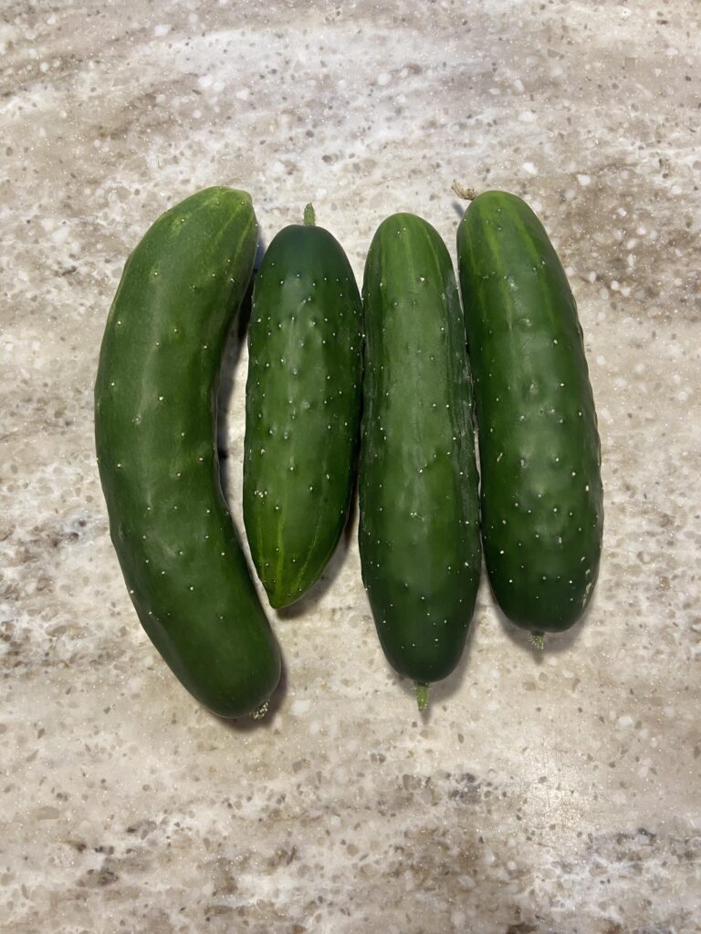 My first cucumbers! - Dining and Cooking