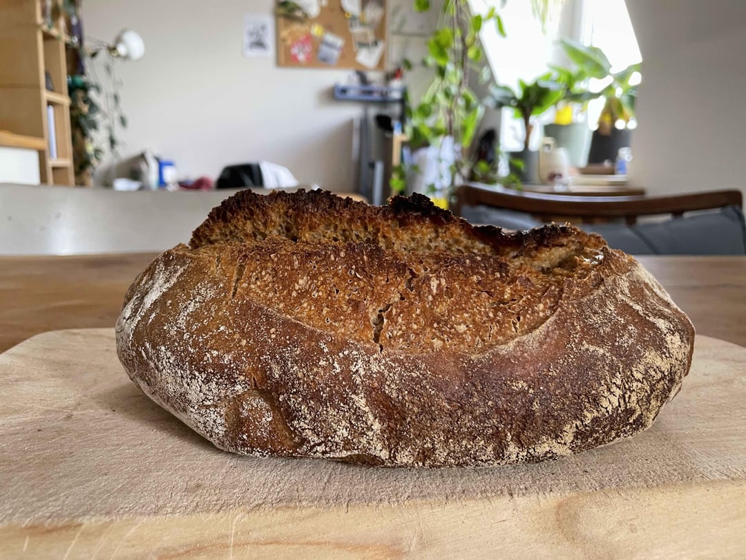 Rye or spelt starter for pure spelt bread? - Dining and Cooking