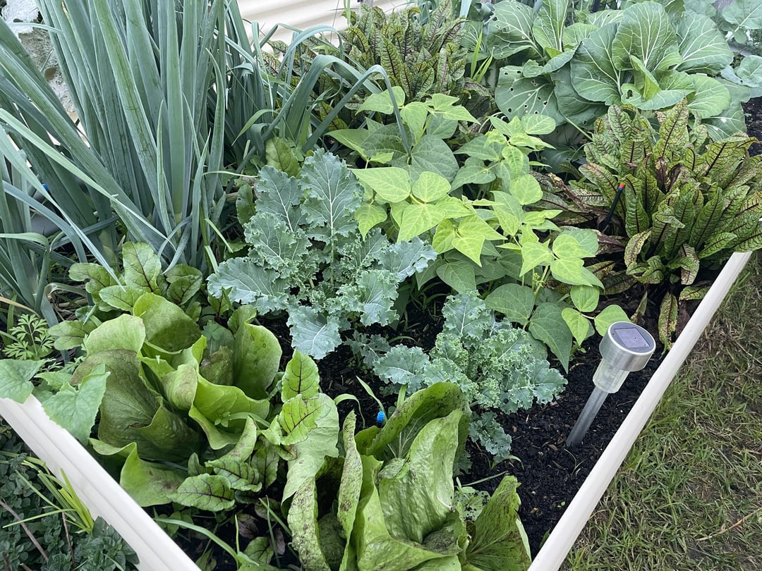 If you have a small garden, if you crop intensively, and embrace ...