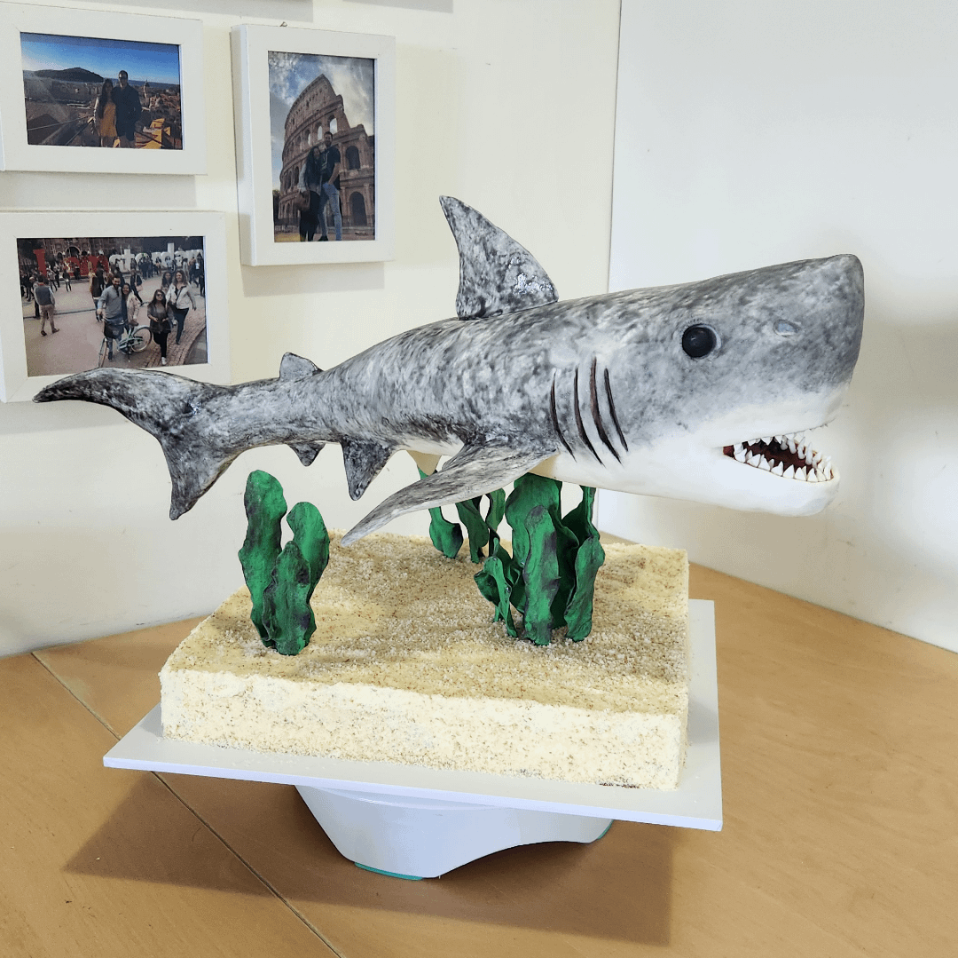 [homemade] shark cake for my shark obsessed 2 year old! - Dining and ...