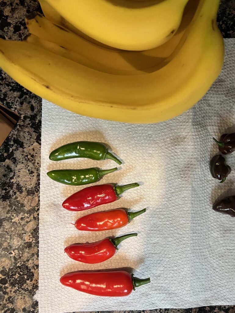 ID on these peppers? Details in description - Dining and Cooking
