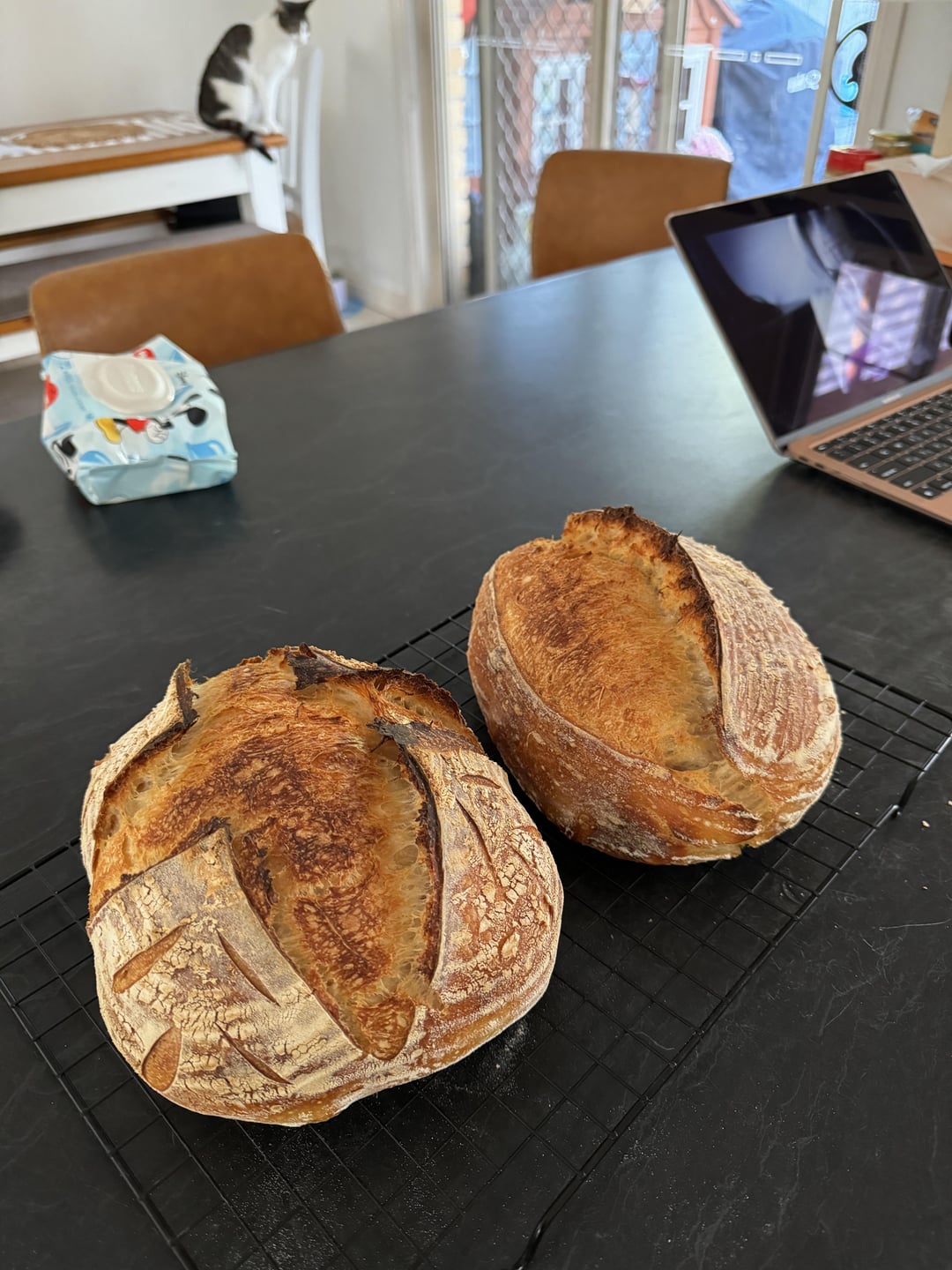 Cold starter - Dining and Cooking