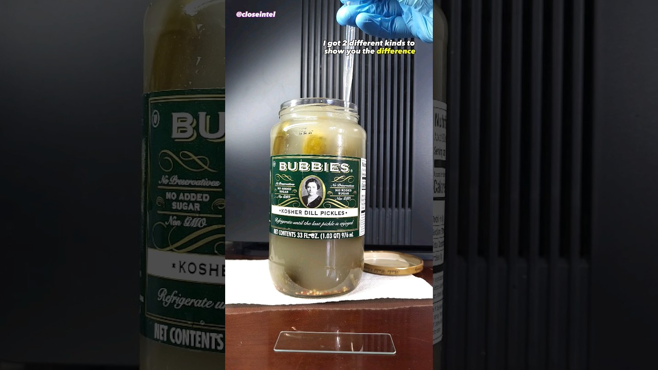 Pickle Juice Under Microscope (Vinegar vs Fermented) - Dining and Cooking