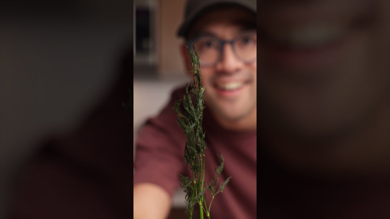 Dill Oil - Dining and Cooking