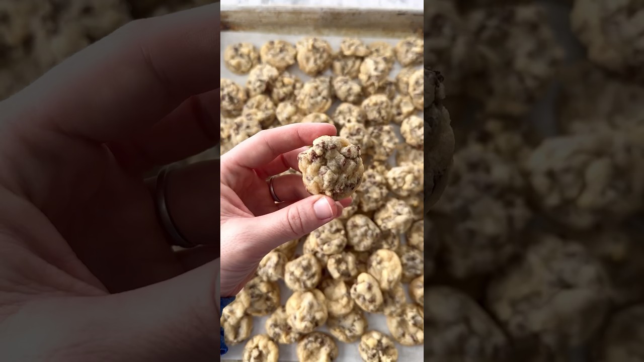 Tiny Bite-sized Chocolate Chip Cookies - Recipe link in comments ...
