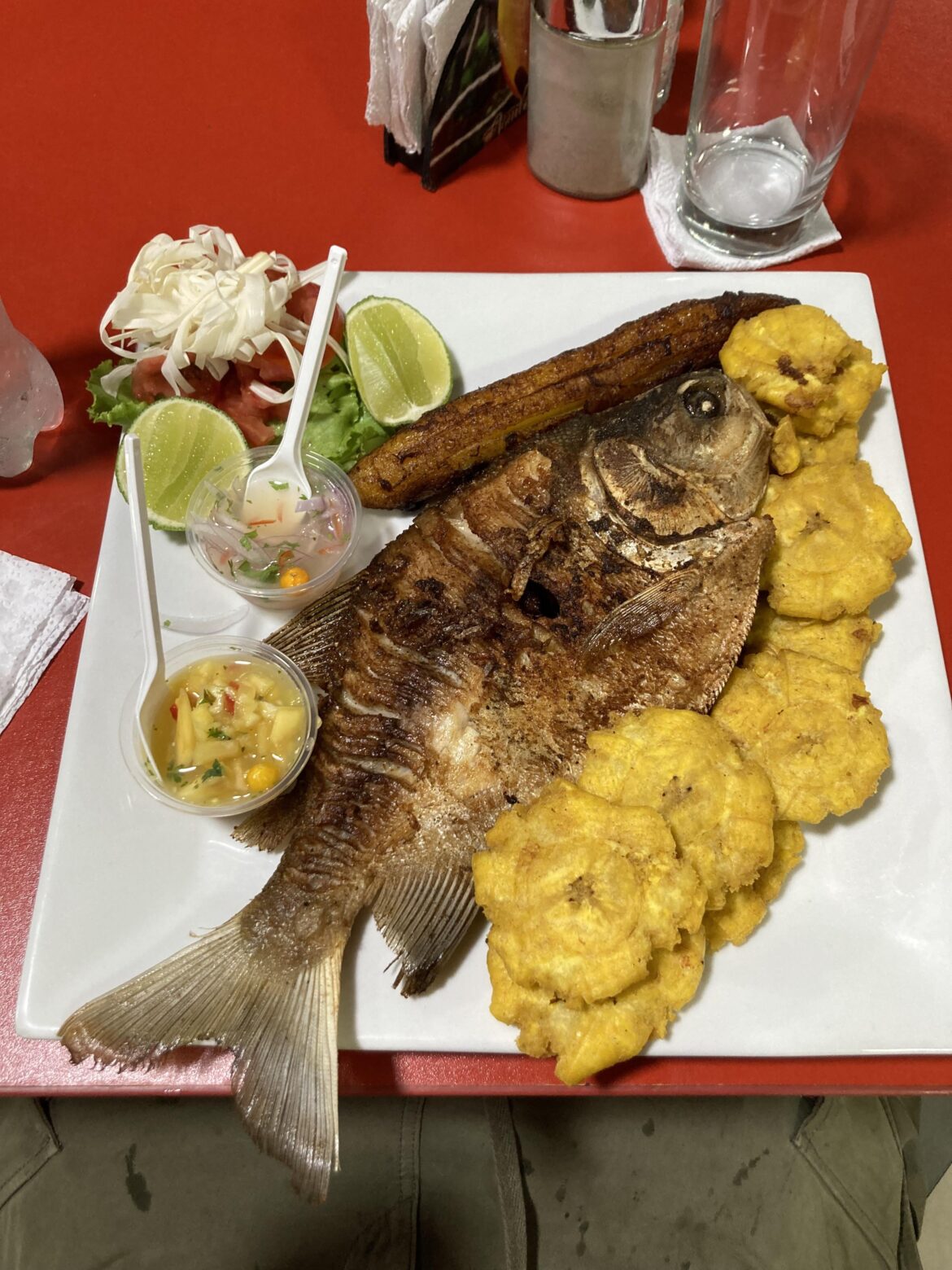 Amazon river fish - Dining and Cooking