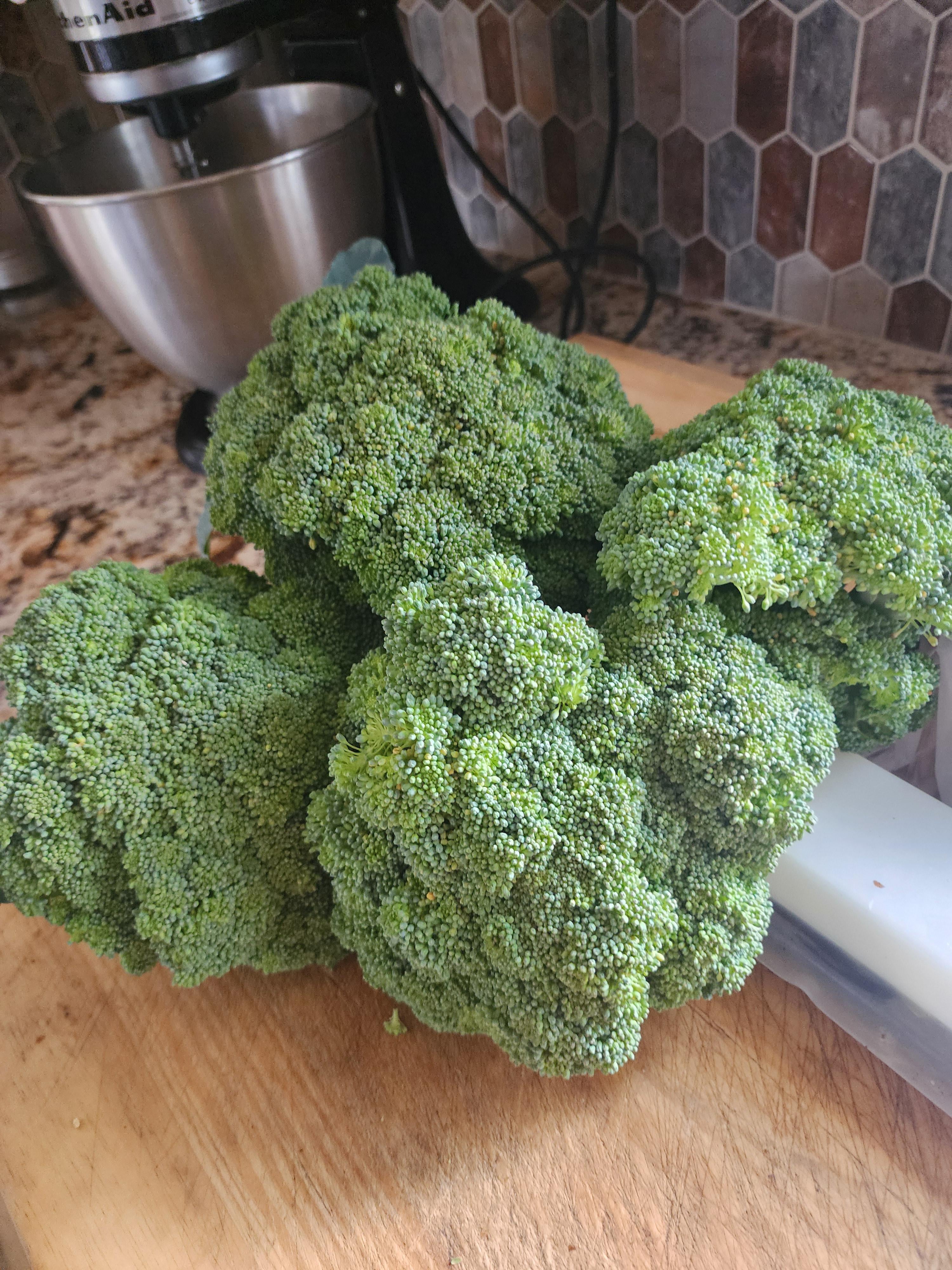 First broccoli harvest - Dining and Cooking