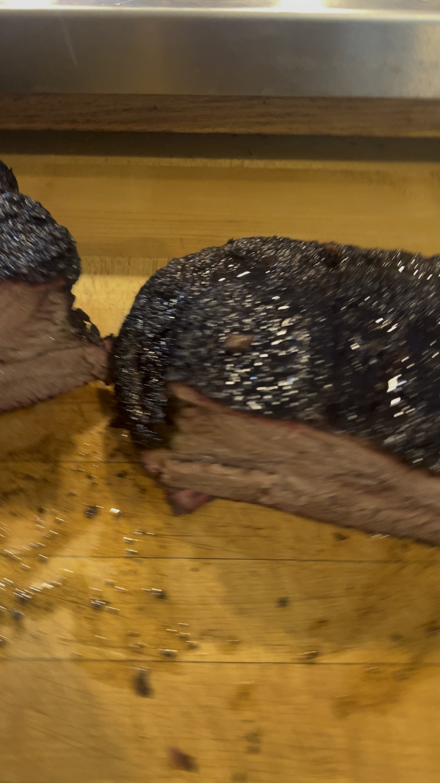 First brisket ever. Feel addicted now. - Dining and Cooking