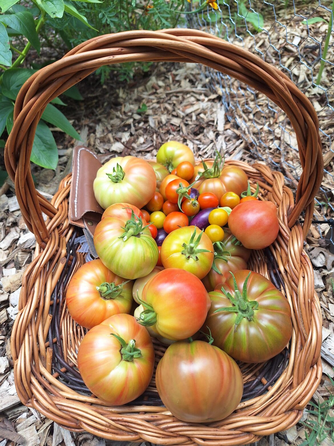 I received the perfect little harvest basket as a gift. - Dining and ...