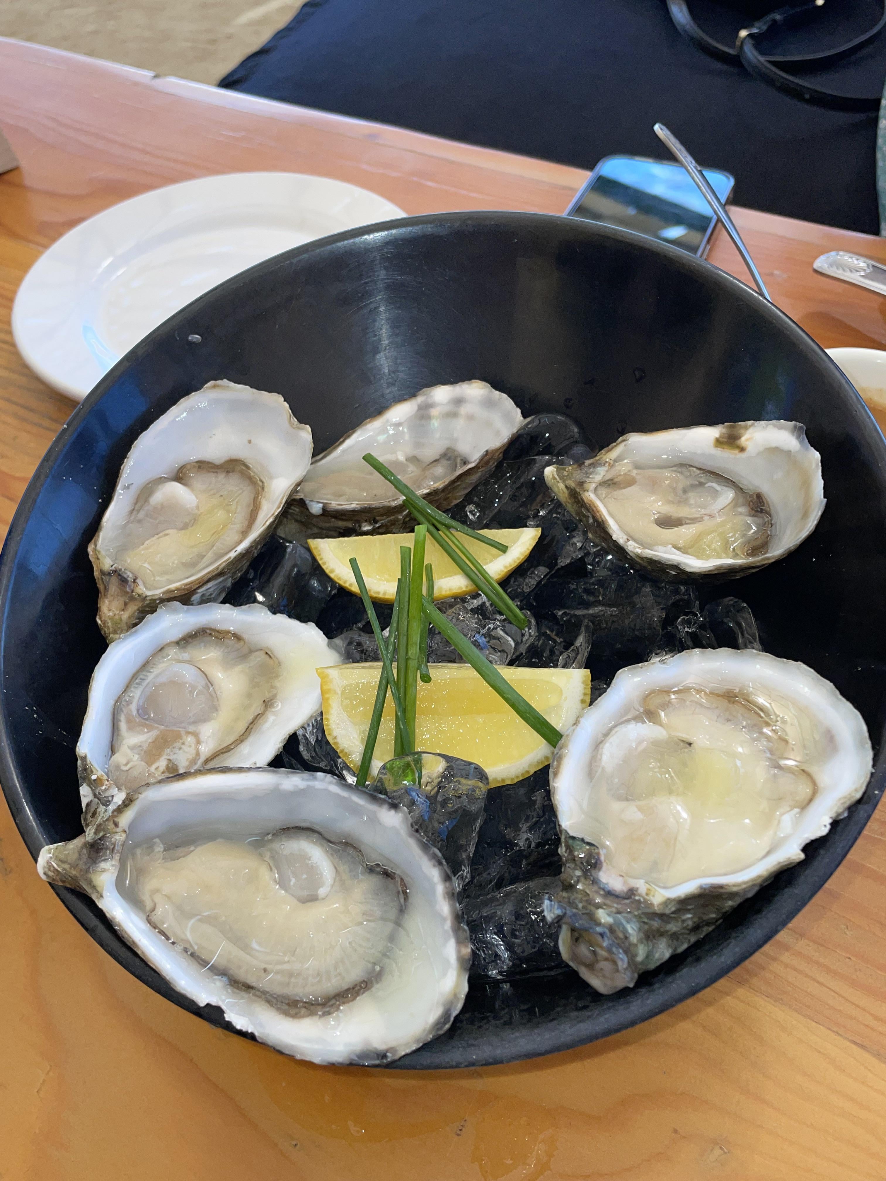 What type of oysters are these? - Dining and Cooking