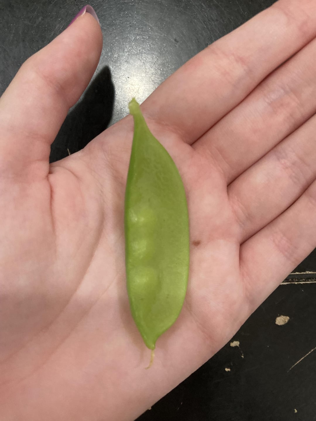 My first ever harvest!!! - Dining and Cooking