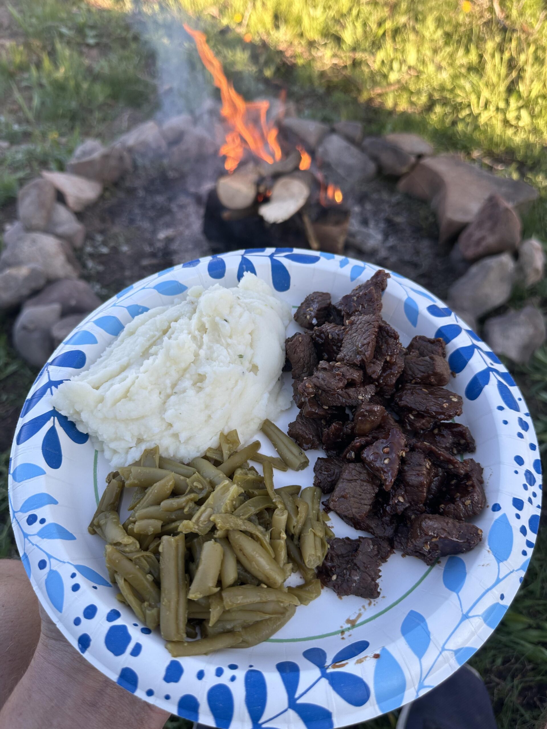 Camp dinner from this weekend - Dining and Cooking