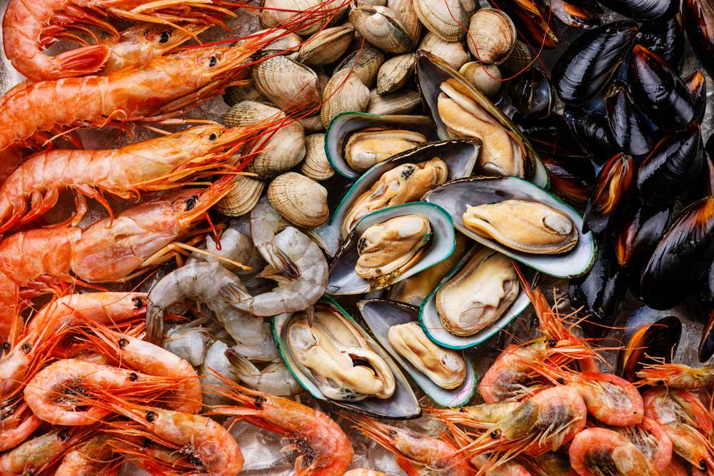 different kinds of seafood you can feast with your eyes - Dining and ...