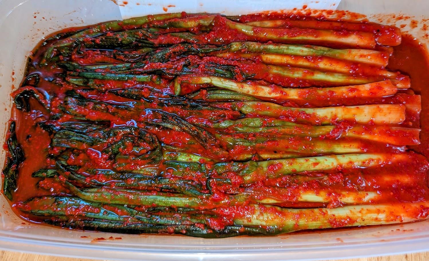 [Homemade] My wife's Green Onion Kimchi - Dining and Cooking