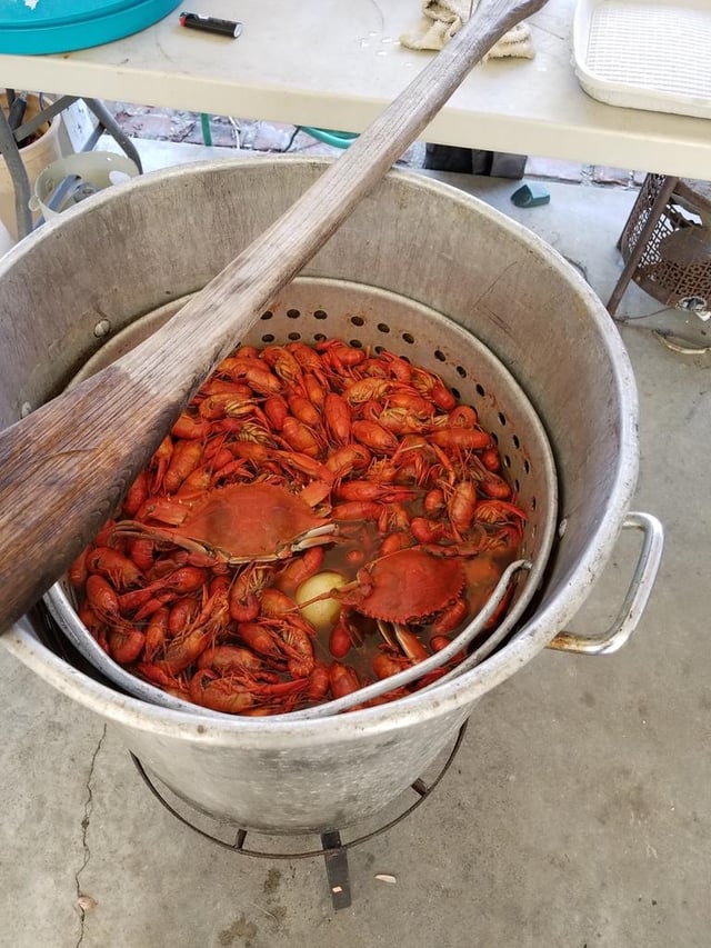 Craw fish and Louisiana Blue Crabs (OP) - Dining and Cooking