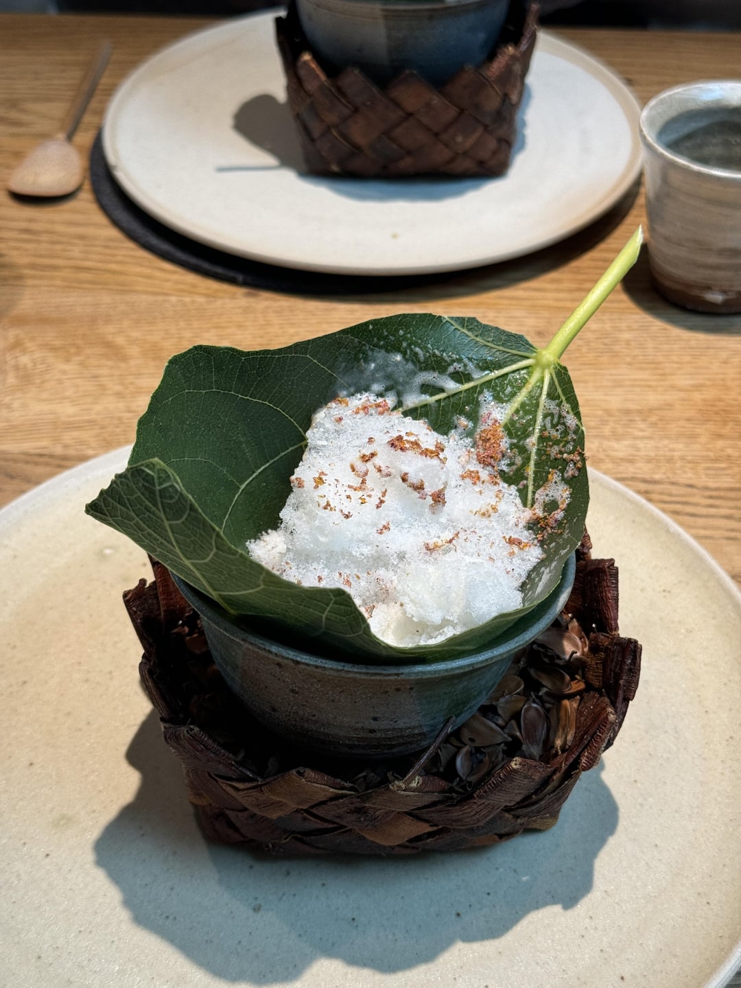 Noma - Vegetable Season (June 2024) - Dining and Cooking