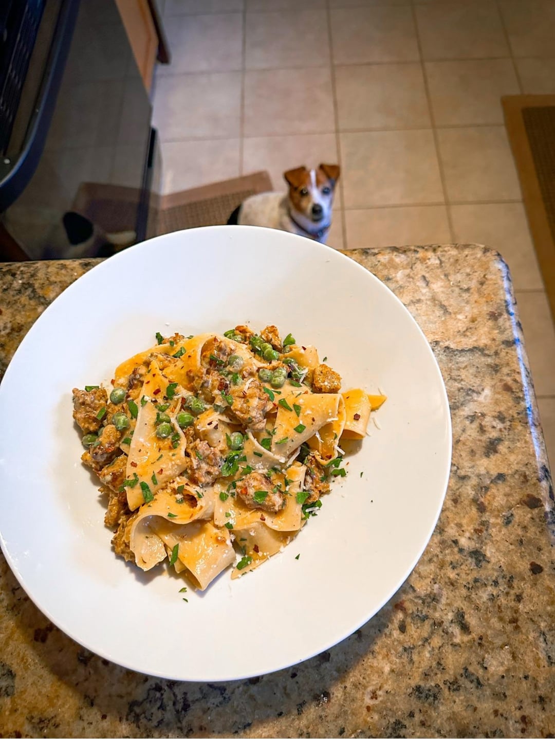 Made wide pasta and spicy Italian sausage with some garlic cream ...