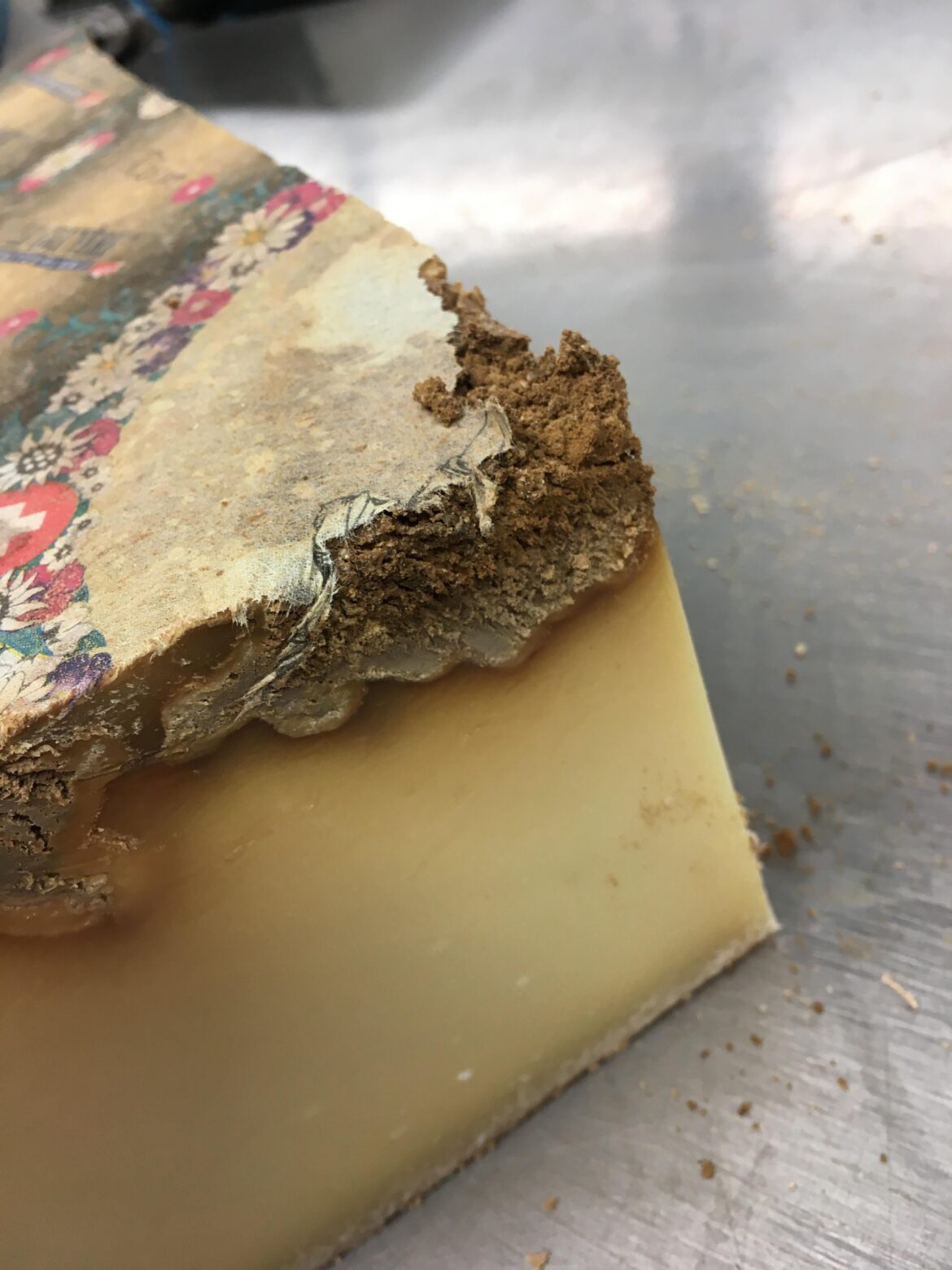 Gruyère cheese with mites. - Dining and Cooking