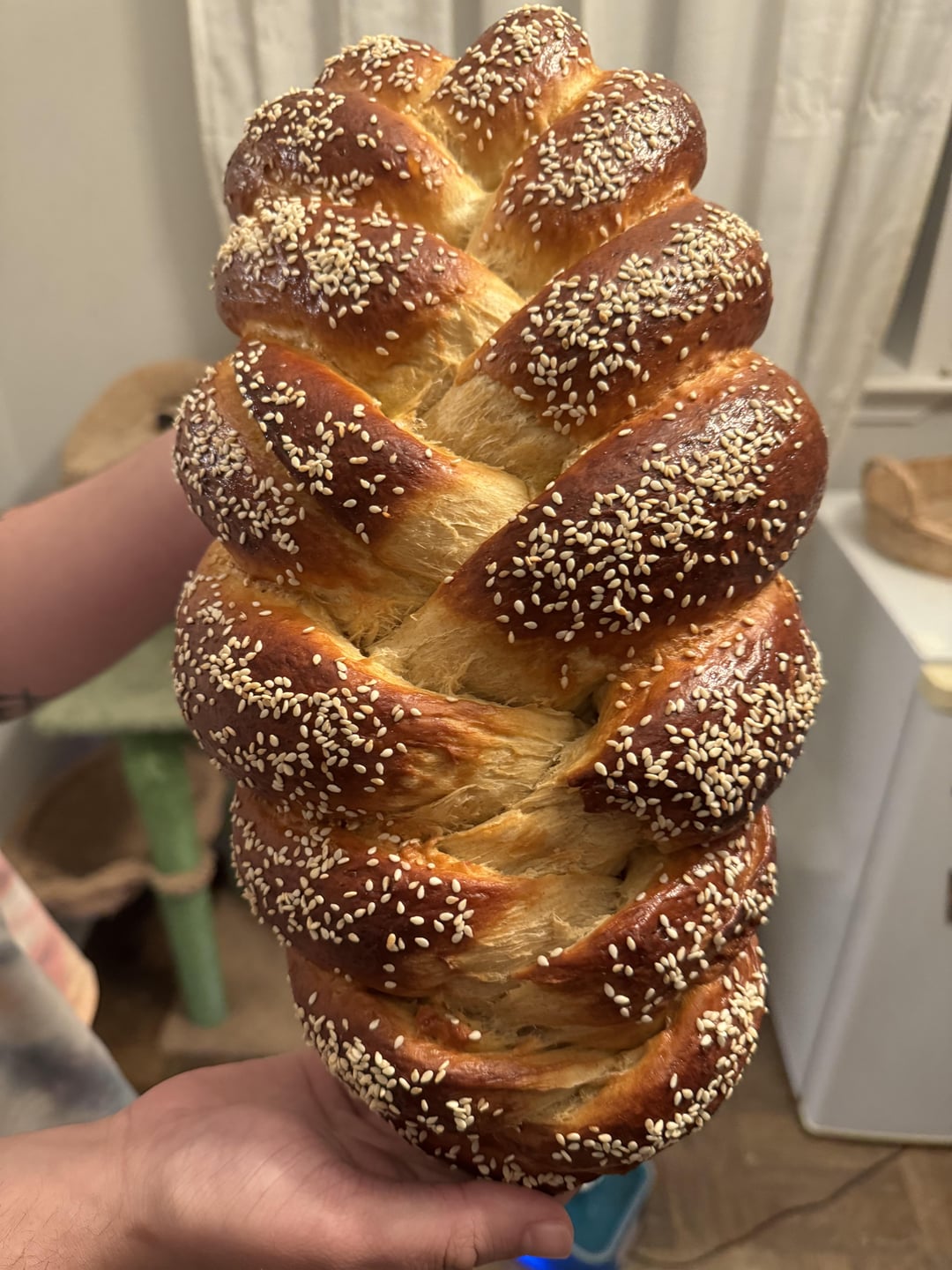 Holla for Challah! - Dining and Cooking