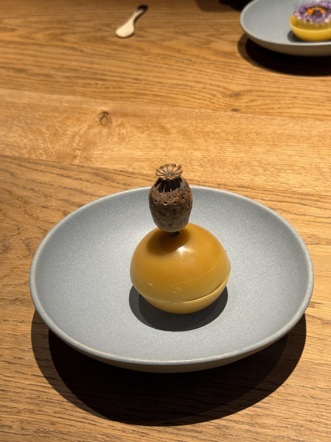 Noma - Vegetable Season (June 2024) - Dining and Cooking