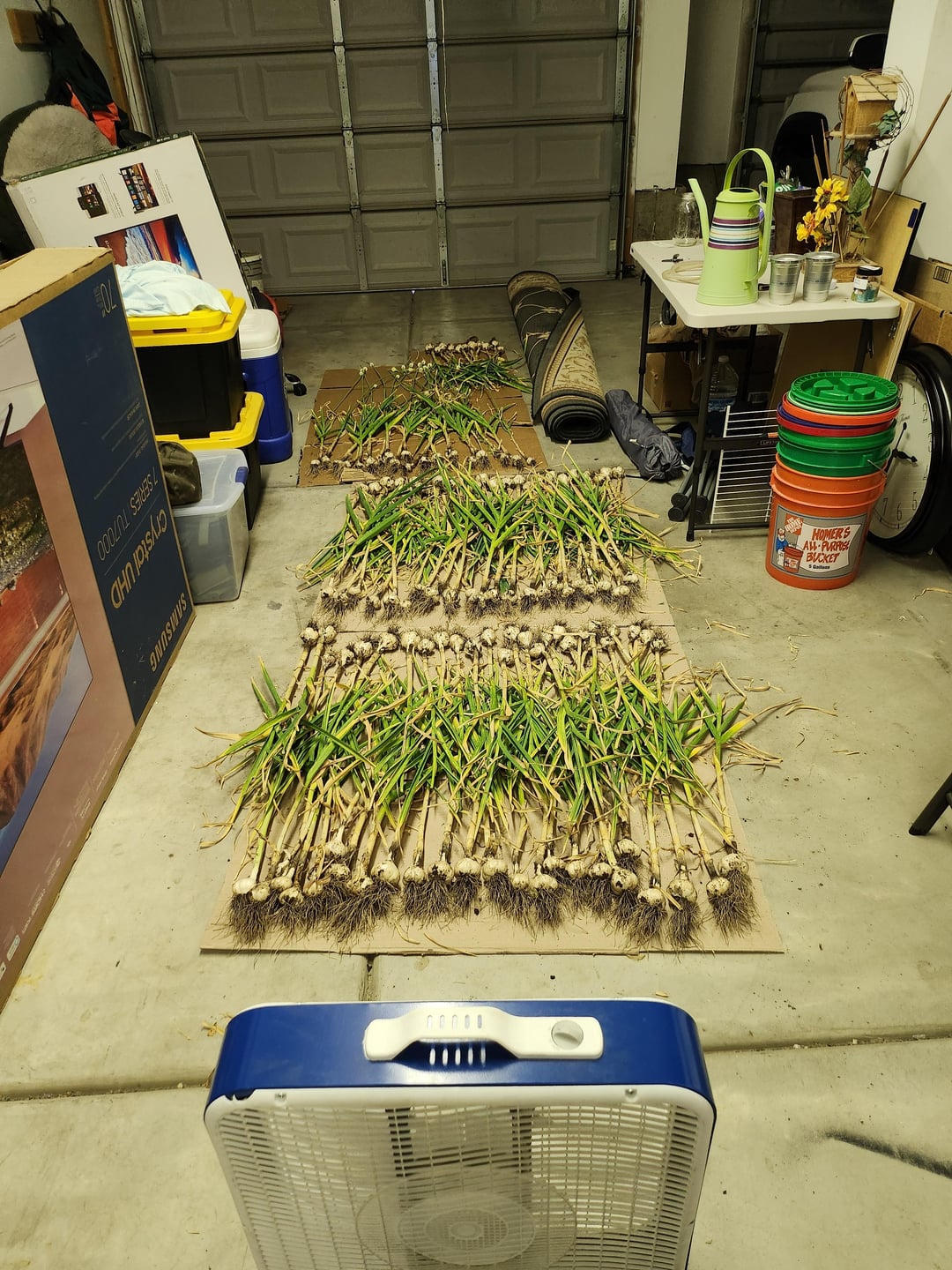 How's my garlic game? - Dining and Cooking