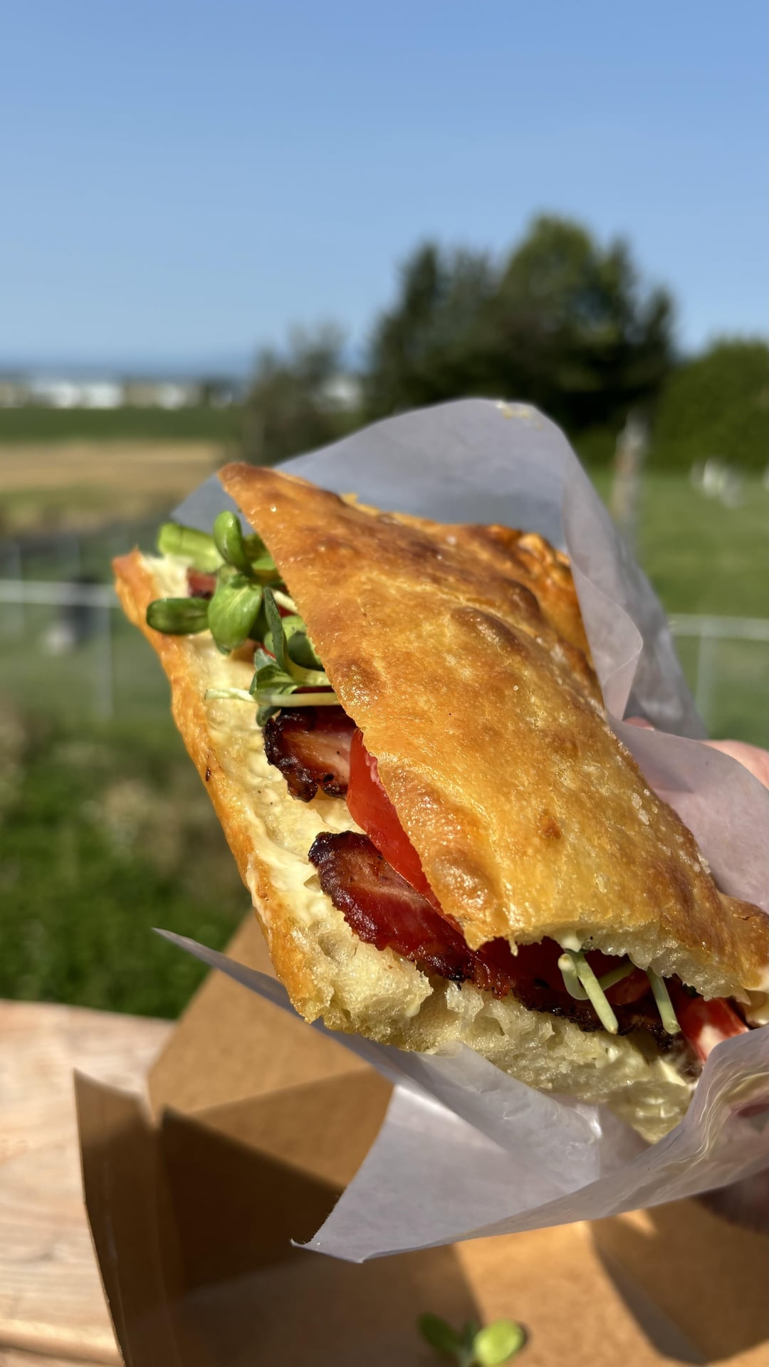 Today I ate an incredible BLT on fresh Focaccia! - Dining and Cooking