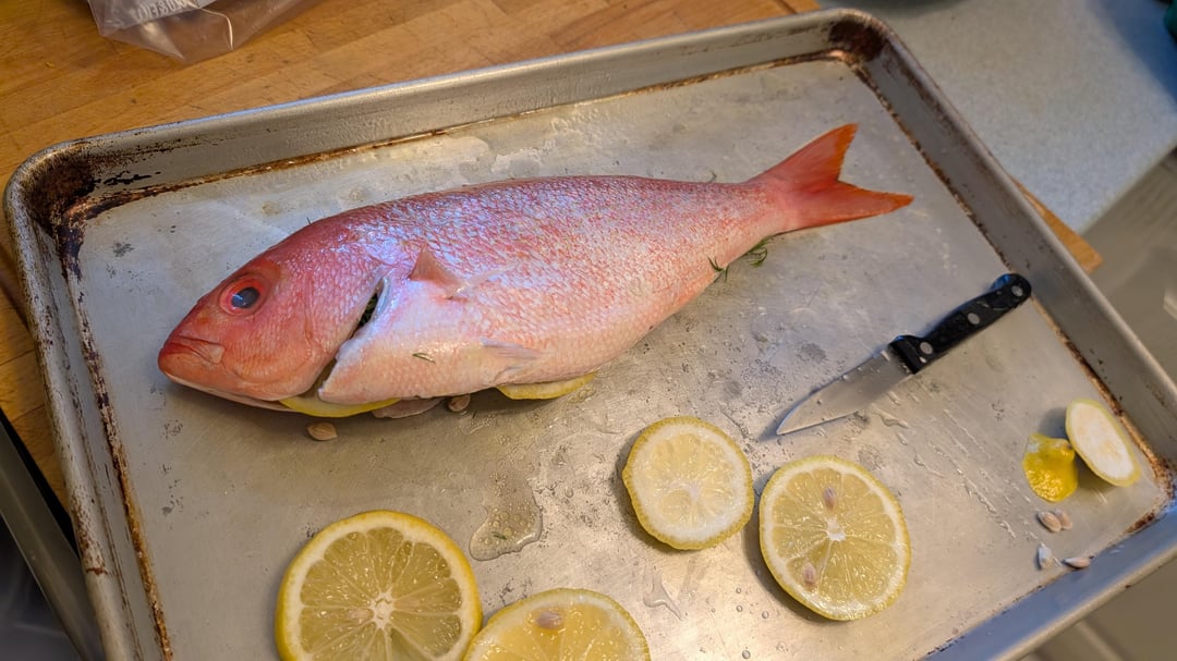 First kettle fish - Dining and Cooking