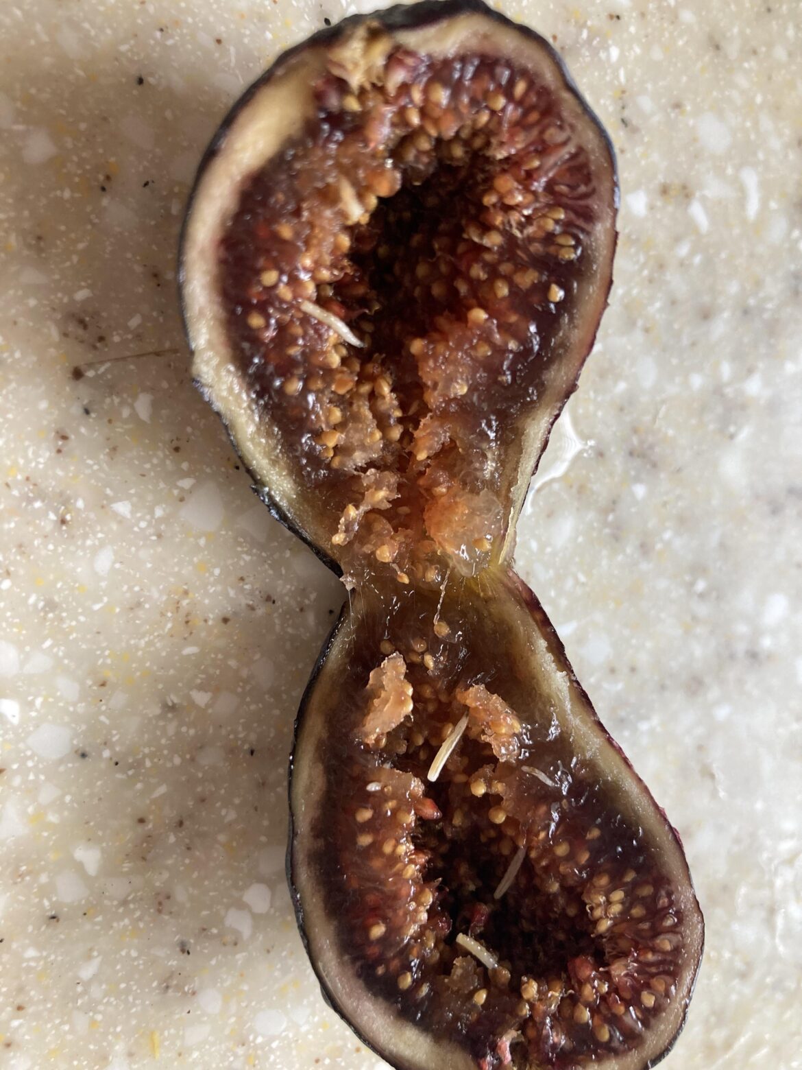 What are these white worms in my figs, and how do I prevent them ...