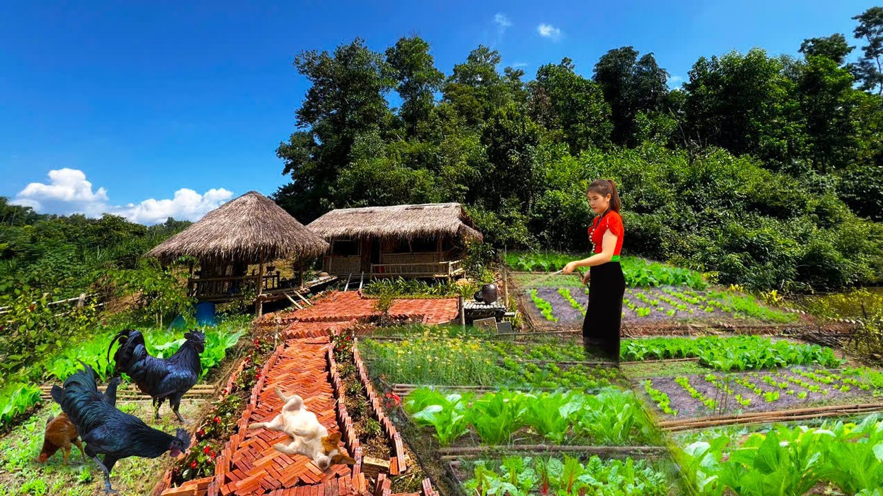 FULL VIDEO Free Building Farm life alone, Animal's bamboo house ...
