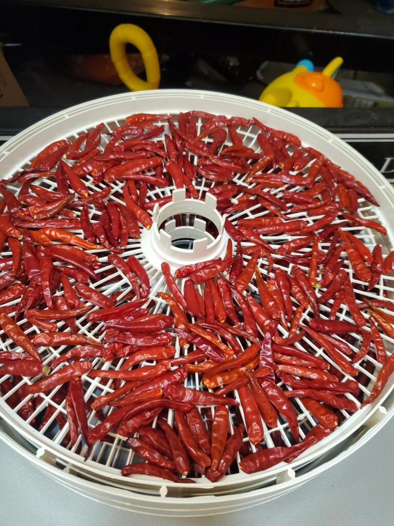 If you havnt tried before, highly recommend drying your peppers and ...