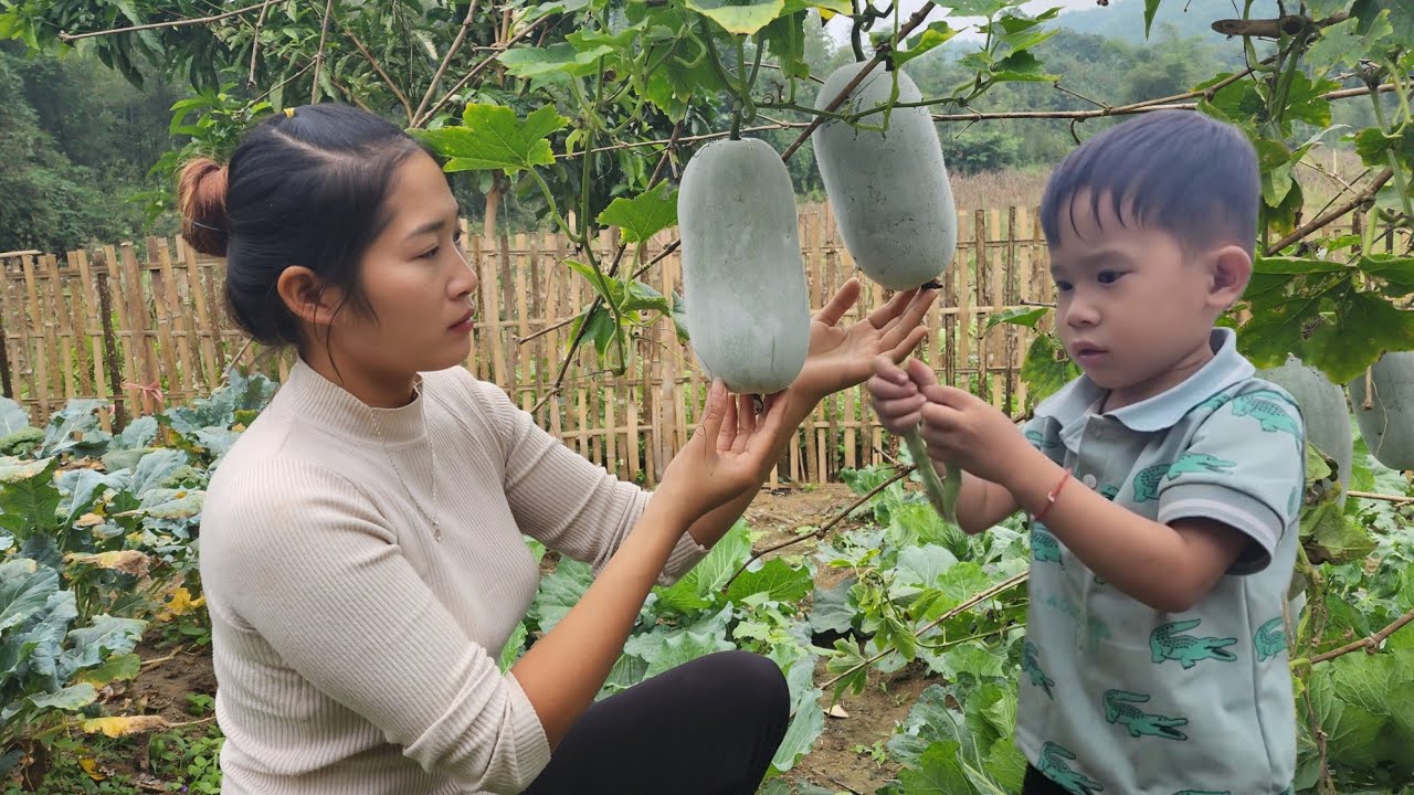 Single mother Harvests squash and beans, takes care of vegetable garden ...